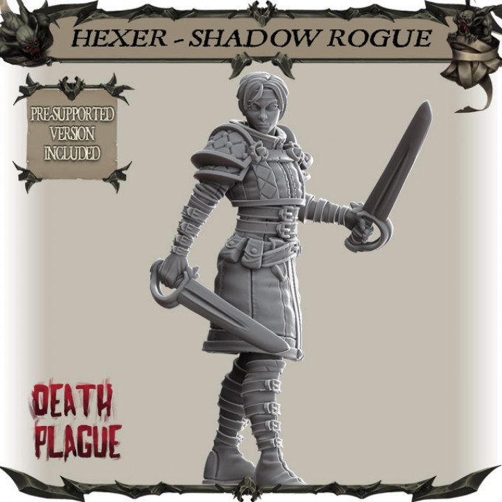 3D Printable Hexer Shadow Rogue by RocketPigGames