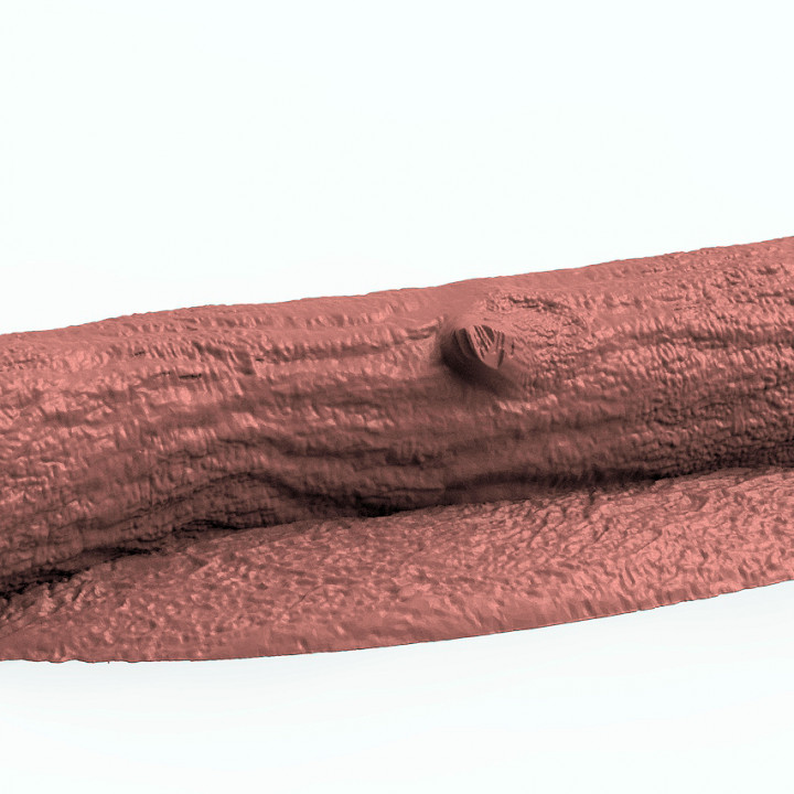 3D Printable Nature Scenery Pack by Robert G Dunham