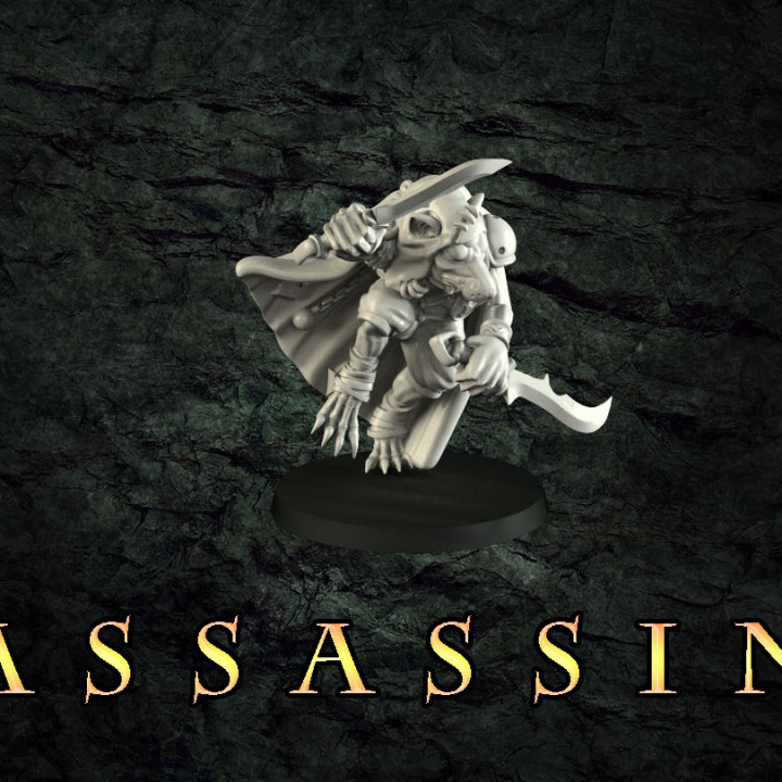 3D Printable Rat Assassin by Crosslances