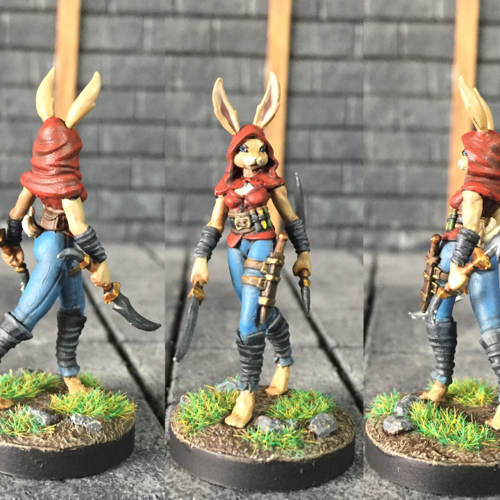 3D Print of Sofia - Female Rabbitfolk - November release rogues by popotato