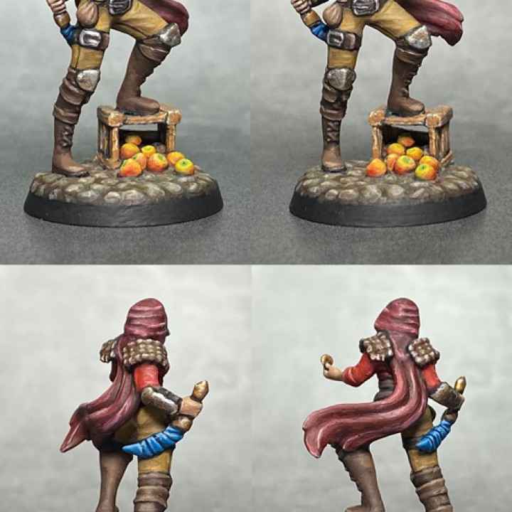 3D Print of Nadia the tax collector - November release rogues by vulture