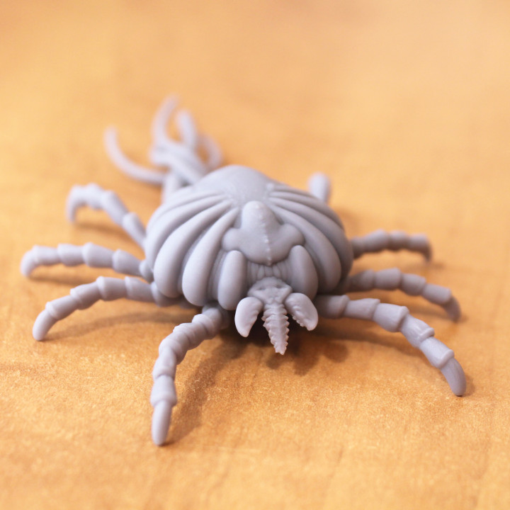 3D Printable Tick Jellyfish - miniature by Grinning God
