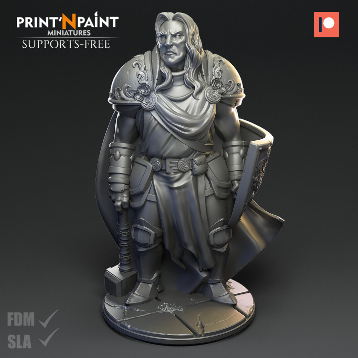 3D Printable Paladin of the Rose by Leonardo Escovar