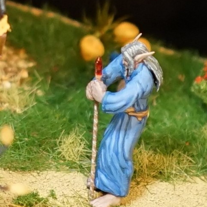 3D Printable Elf Male by Emil