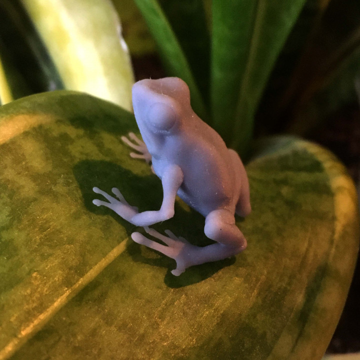 3D Printable Dart Frog by Animal Den Miniatures