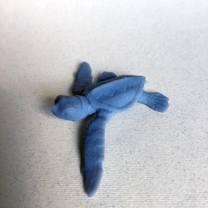 3D Printable Sea Turtle Hatchling by Animal Den Miniatures
