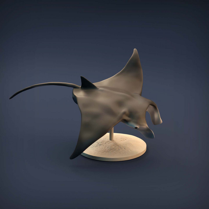 3D Printable Manta Ray by Animal Den Miniatures