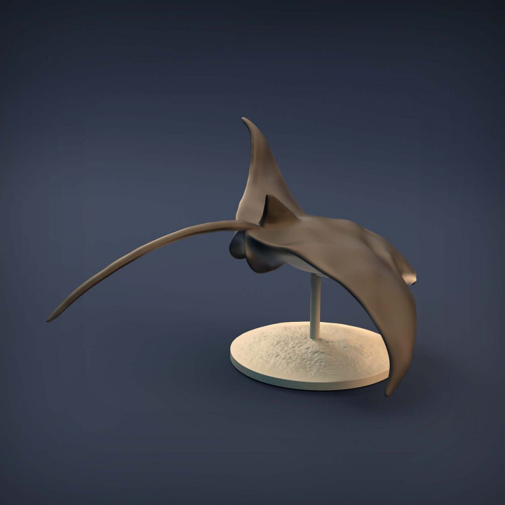 3D Printable Manta Ray by Animal Den Miniatures