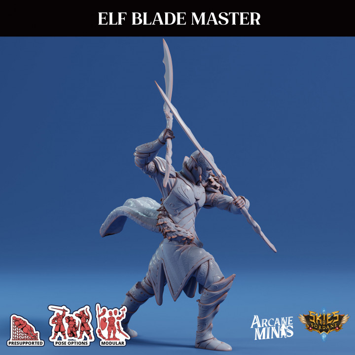 3D Printable Elf Blade Master by Sordane Publishing