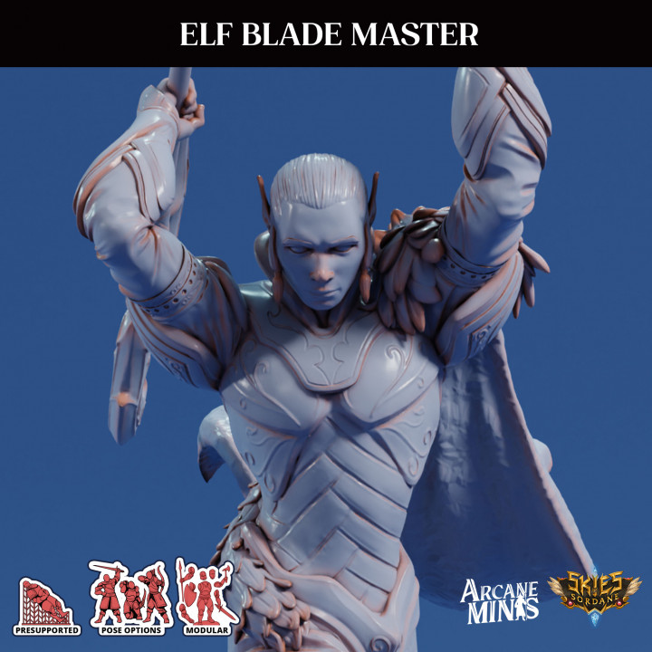 3D Printable Elf Blade Master by Sordane Publishing