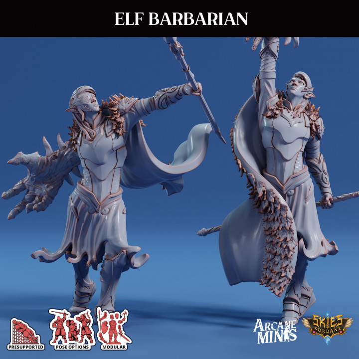 3D Printable Elf Barbarian by Sordane Publishing