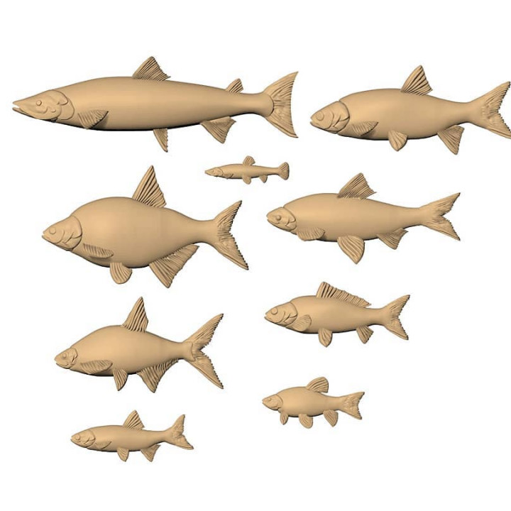 3D Printable Animal Set 1 - Fish by Oliver Spaeth