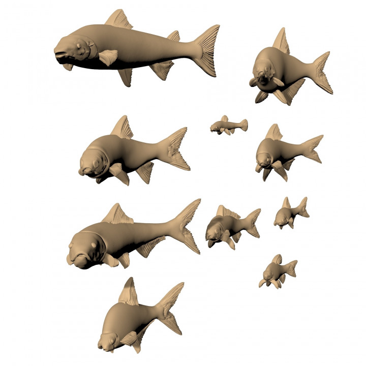 3D Printable Animal Set 1 - Fish by Oliver Spaeth