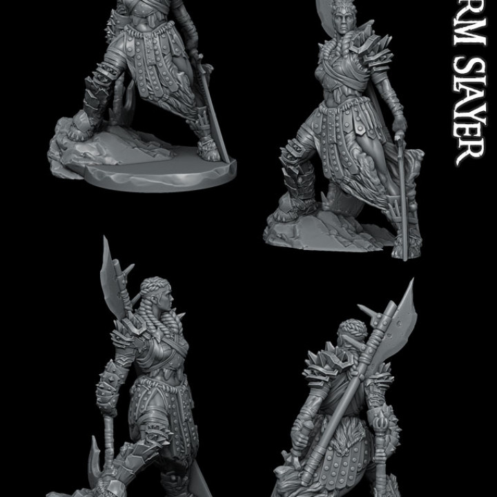 3D Printable Wyrm Slayer by RocketPigGames