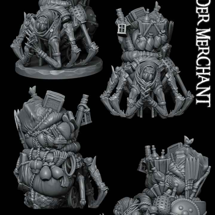 3D Printable Spider Merchant by RocketPigGames