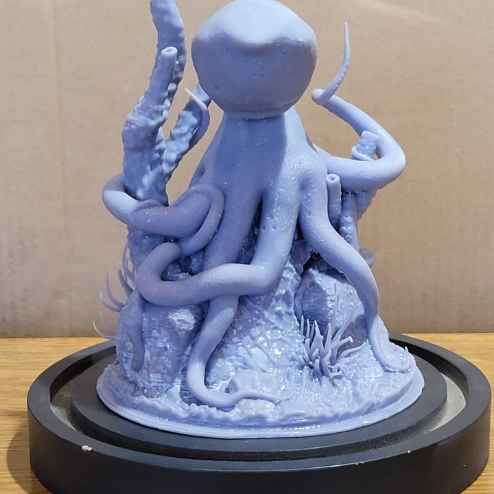 3D Printable Octopus by charles satvropoulos