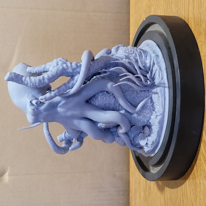 3D Printable Octopus by charles satvropoulos