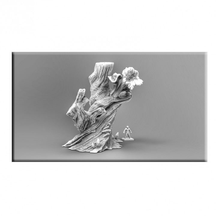 3D Printable Giant natural Elements by Fabio