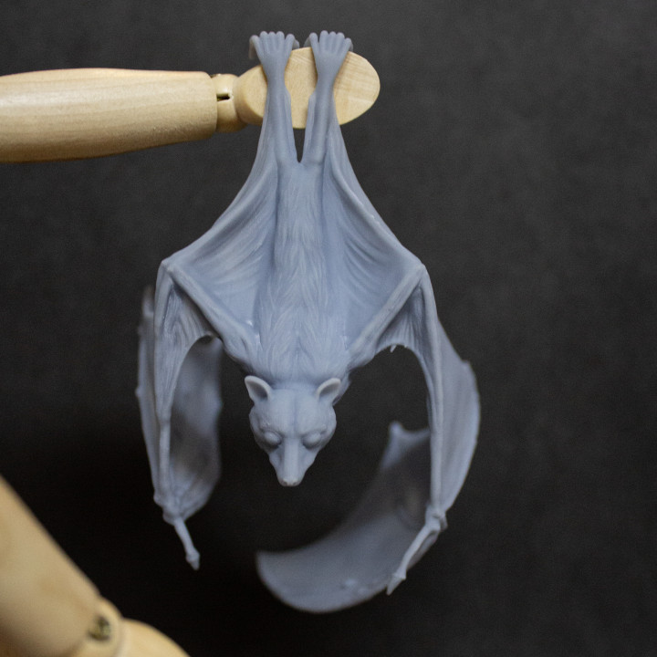 3D Printable Flying Fox - Fruit Bat by Animal Den Miniatures