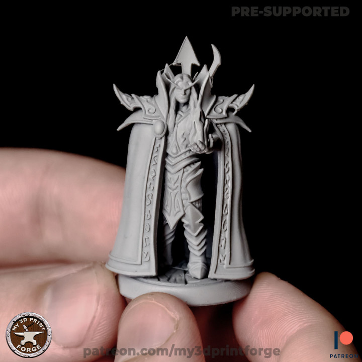 3D Printable Blood Elf Mage Boss Two Models by My3DPrintForge