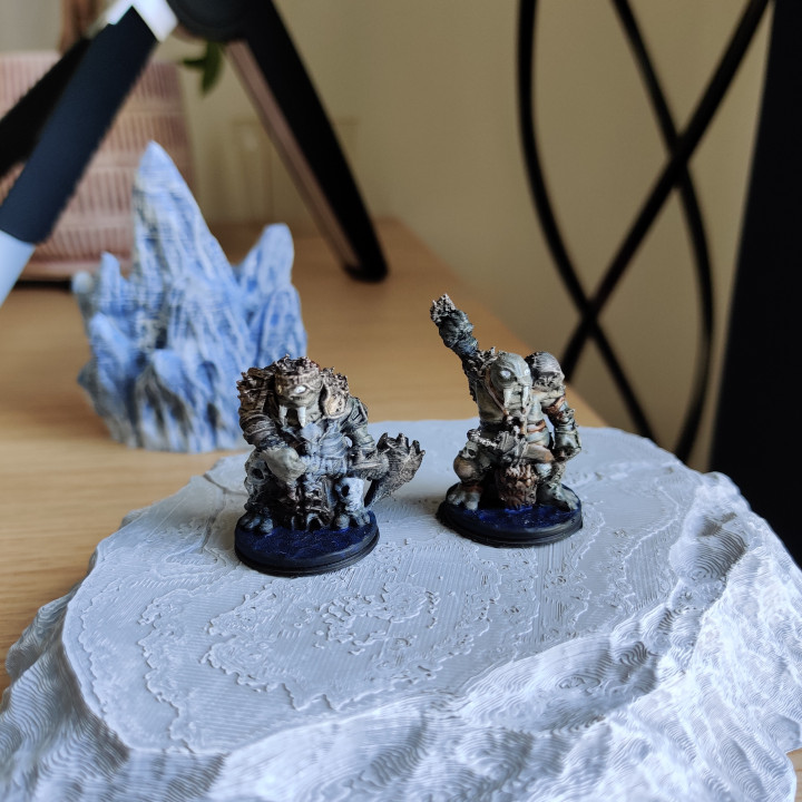 3D Print of Walrus Folk [Support-free] by patrickjanssen