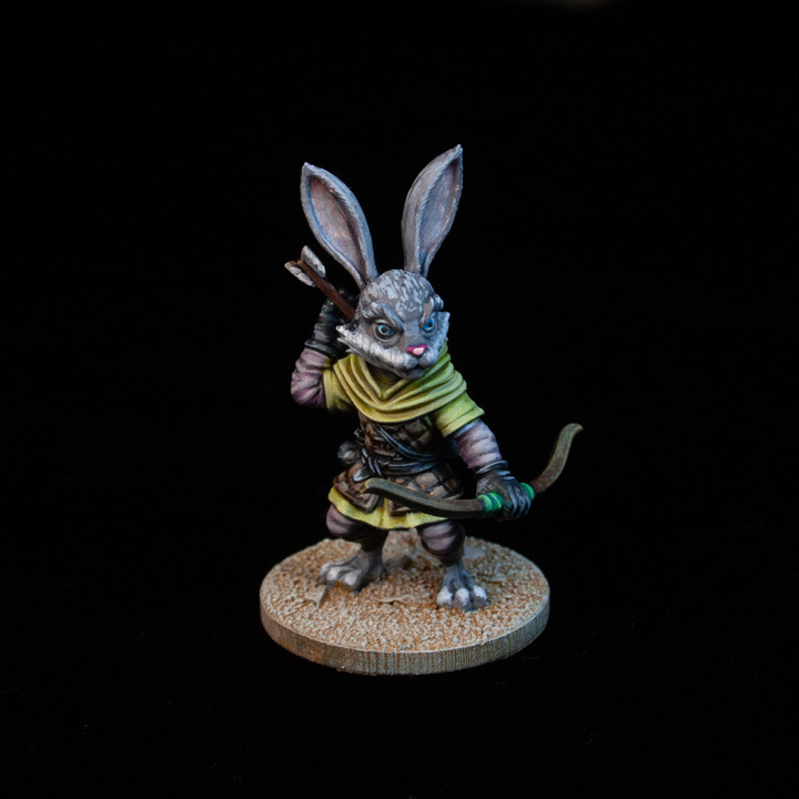 3D Print of Rabbit Archer 2 by marijnbierhof