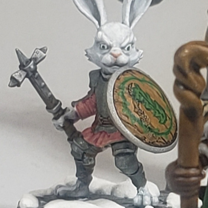 3D Print of Rabbit Knight 4 by GibbsJP