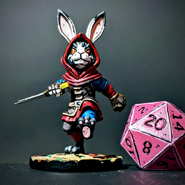 3D Print of Rabbit Rogue 1 by Paintingmyth