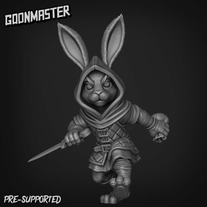 3D Printable Rabbit Rogue 1 by Goon Master