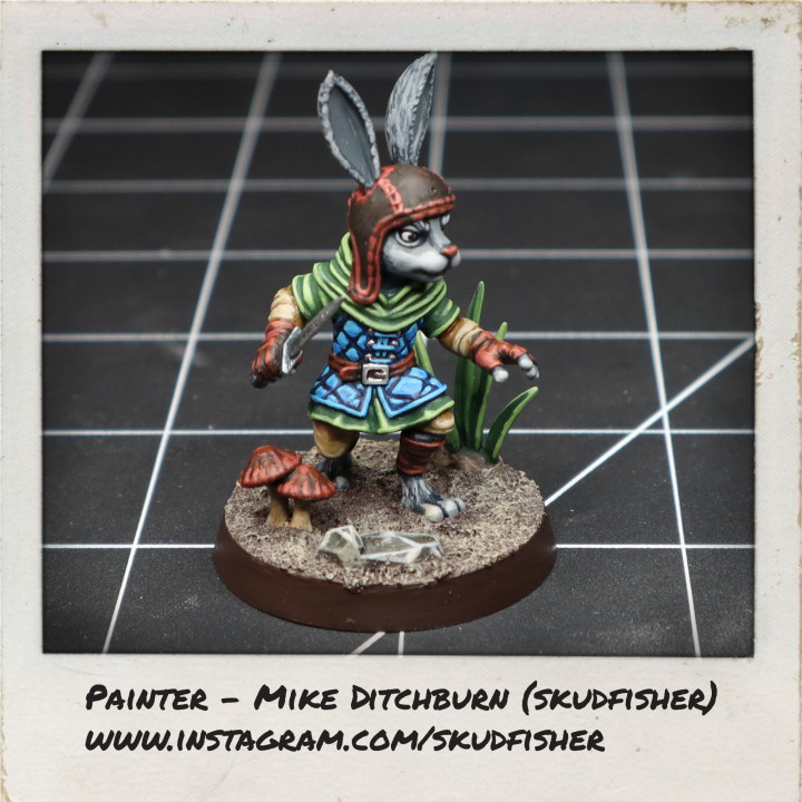 3D Printable Rabbit Rogue 2 by Goon Master