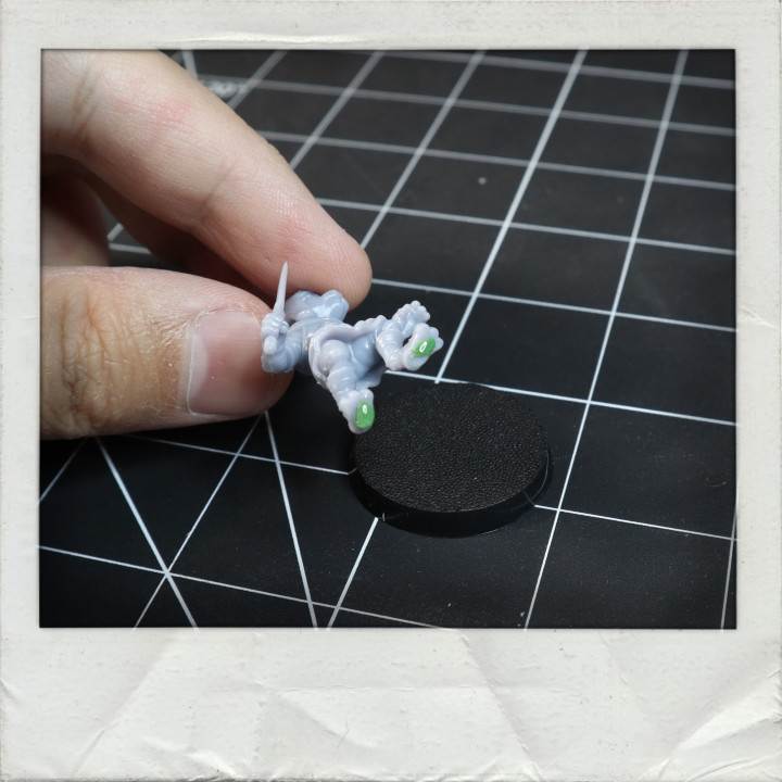 3D Printable Rabbit Rogue 2 by Goon Master