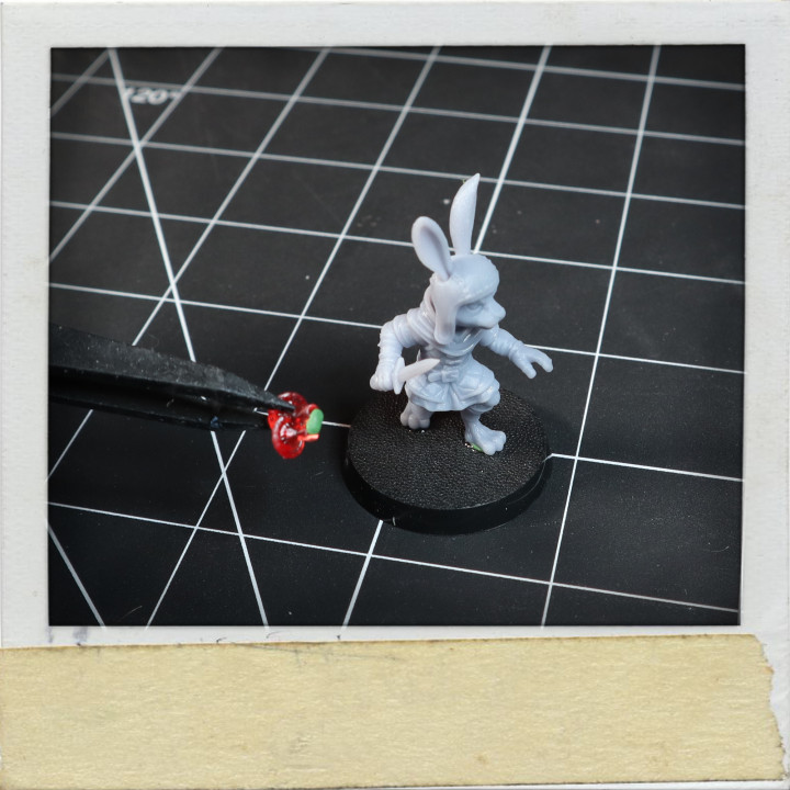 3D Printable Rabbit Rogue 2 by Goon Master
