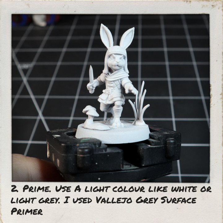 3D Printable Rabbit Rogue 2 by Goon Master