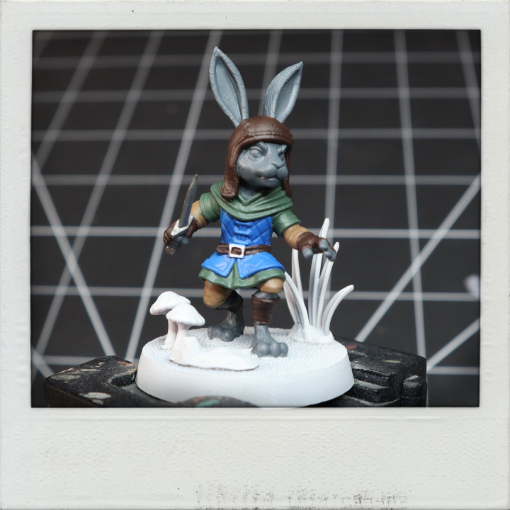 3D Printable Rabbit Rogue 2 by Goon Master