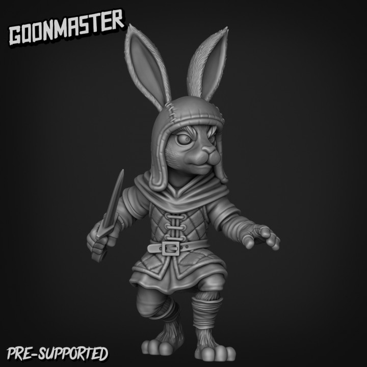 3D Printable Rabbit Rogue 2 by Goon Master
