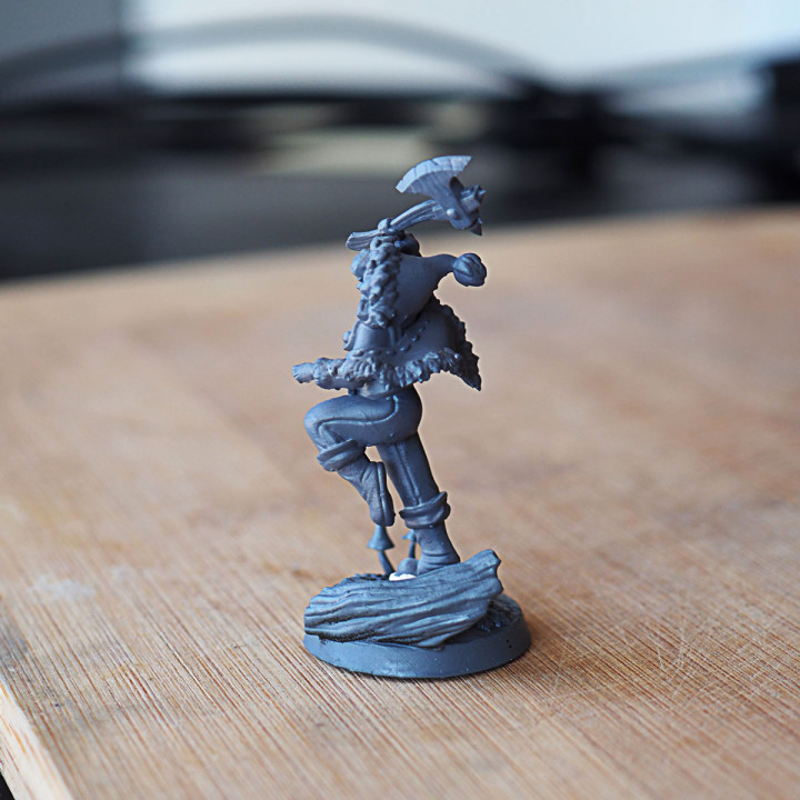 3D Printable Little red riding hood by La Louve 3D