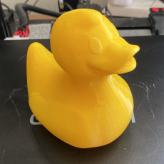 3D Printable Rubber duck by Melanthios