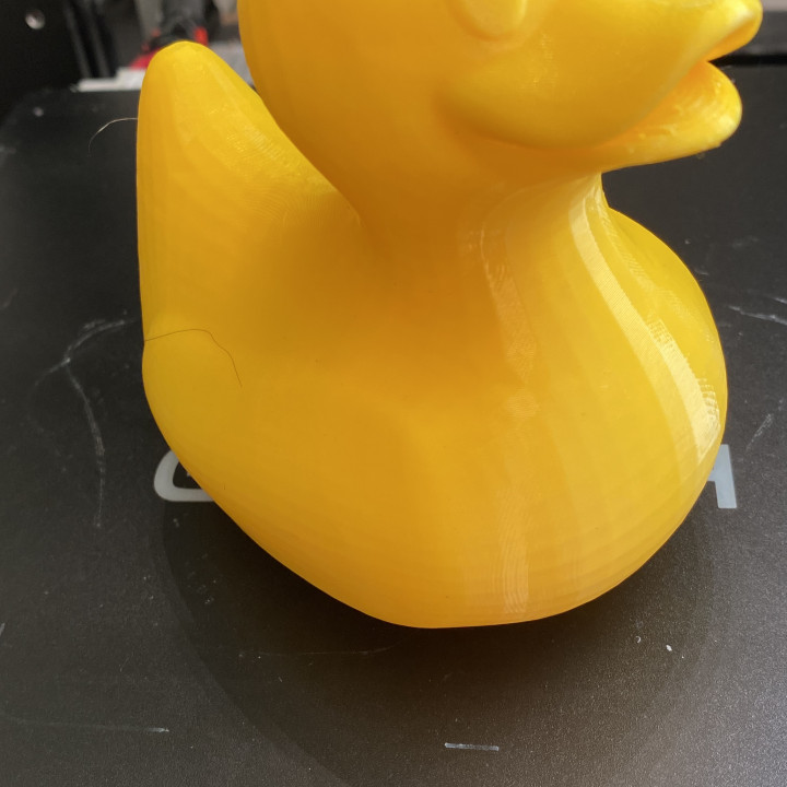3D Print of Rubber duck by Rhian45