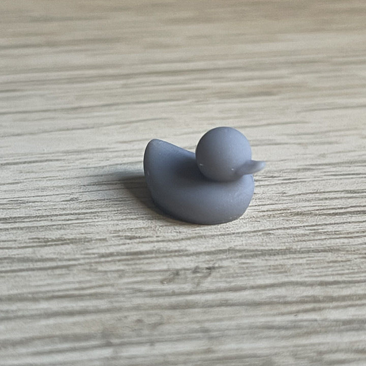 3D Printable Rubber duck by Melanthios