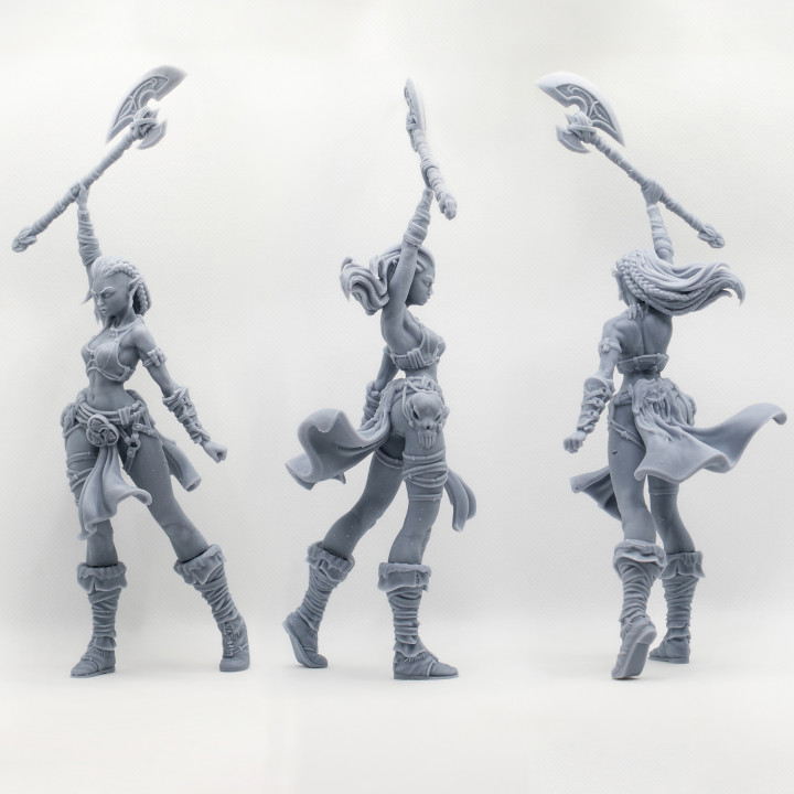 3D Printable Sia the Elf Barbarian by Nerikson