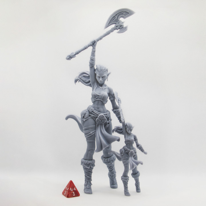 3D Printable Sia the Elf Barbarian by Nerikson