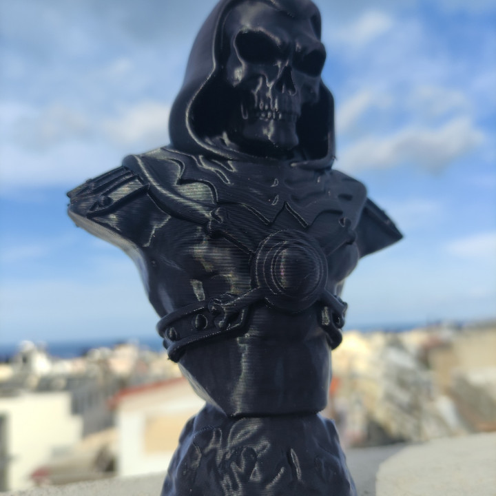 3D Printable Skeletor Bust by Miron Kampitakis