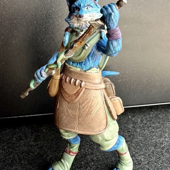 3D Print of The Fox Tribe by reneehopkins