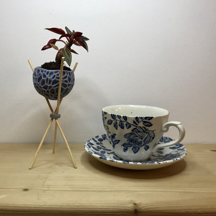 3D Printable small pot with bamboo sticks by Johnny Roock Sinner