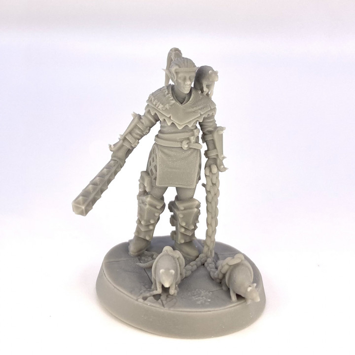 3D Printable Elf Thief of the Arachnus Cowl with Rats by Dragon's Forge ...