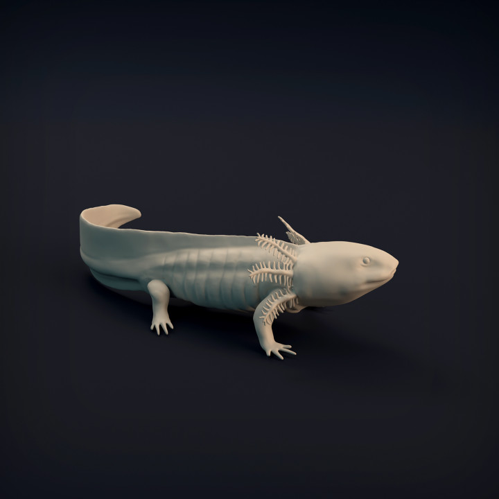 3D Printable Axolotl by Animal Den Miniatures
