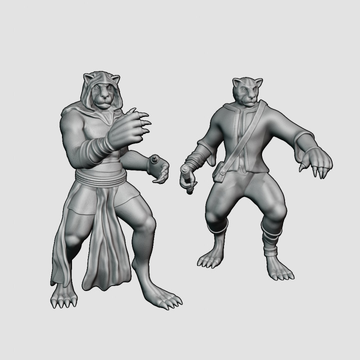 3D Printable Catfolk Monk by Dale Seaton