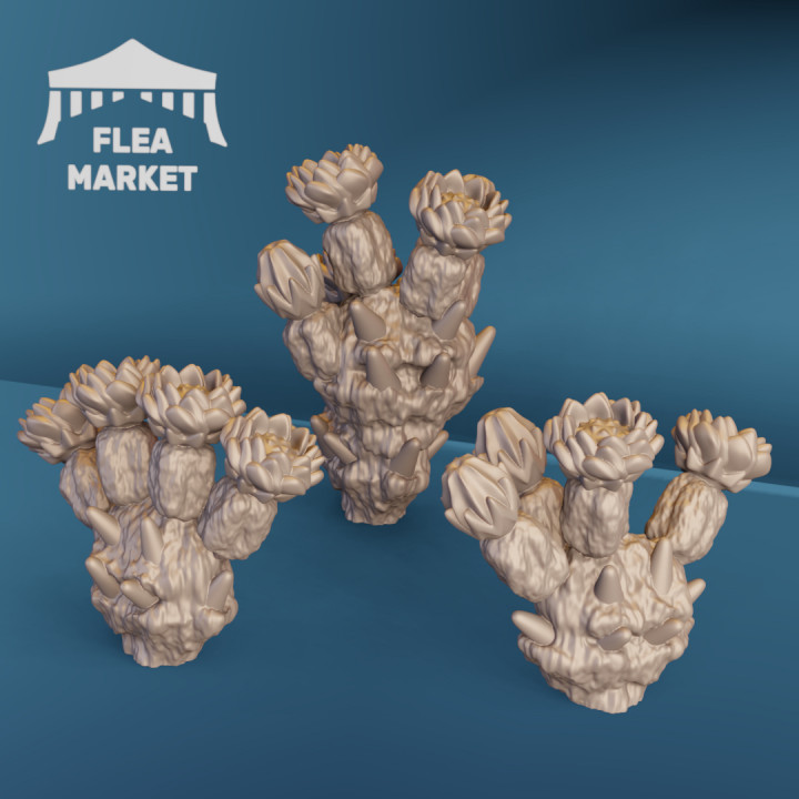 3D Printable Blooming Cactus Pack by Flea Market