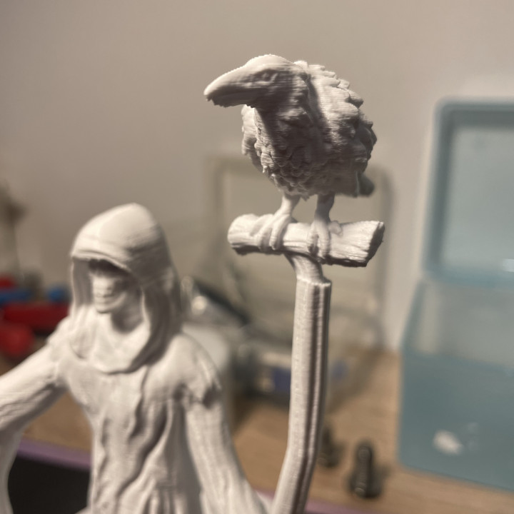 3D Printable Grim Reaper with raven by Petr