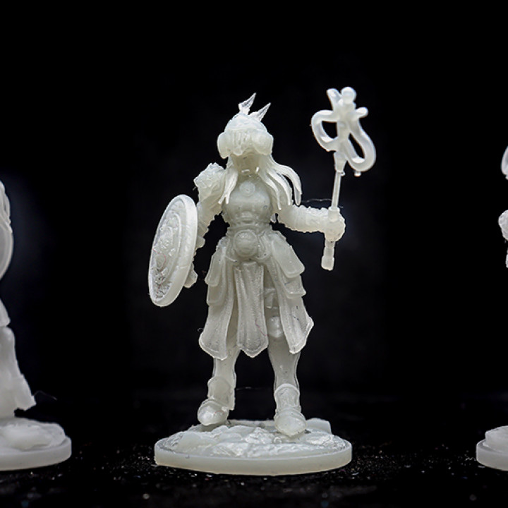 3D Printable Burondi The Cleric- Idle and Action Pose by Ronin Arts ...